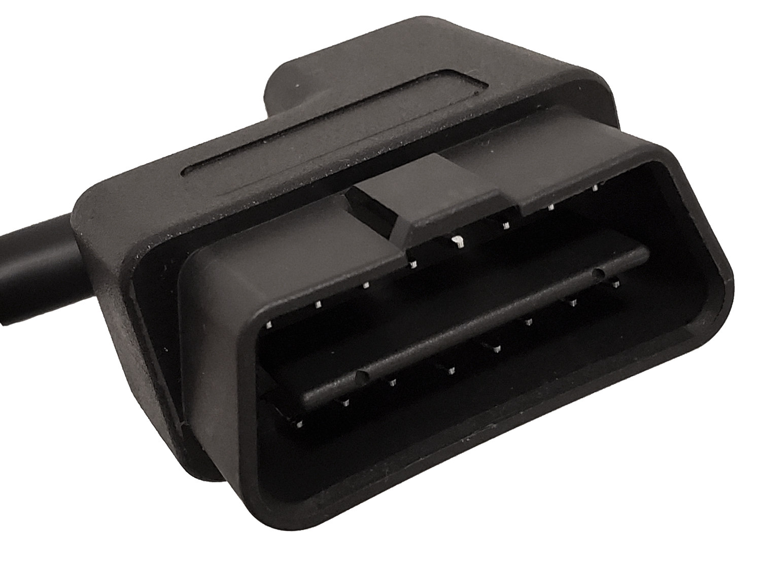 Collections – Blue Star ELD